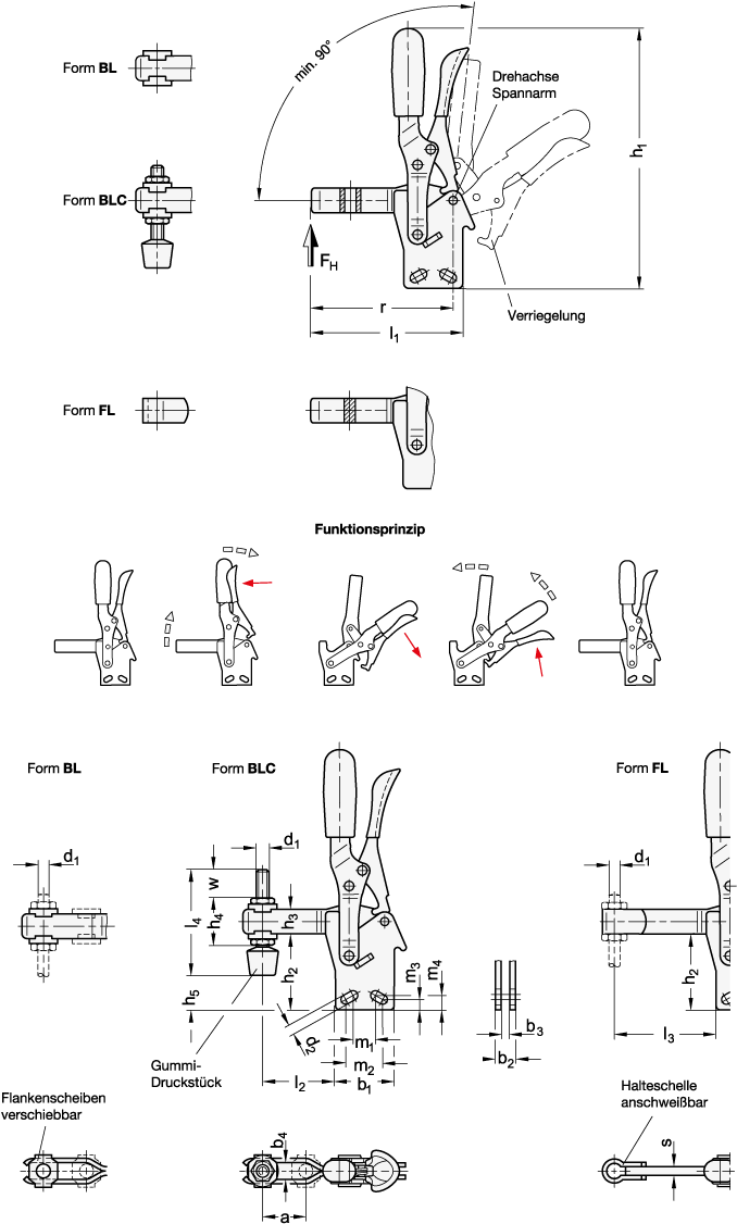 GN 810.4 Edelstahl-Vertikal-Spanner mit Verriegelung, mit senkrechtem Fuß | Schnellspanner ...